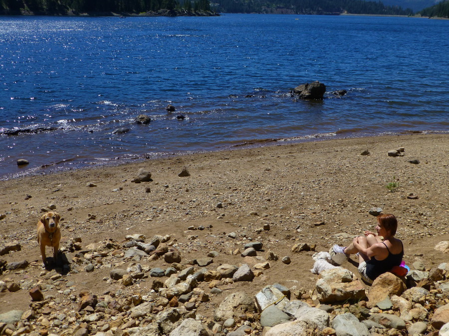 Jackson Meadows Reservoir #2 – PureSynchronicity