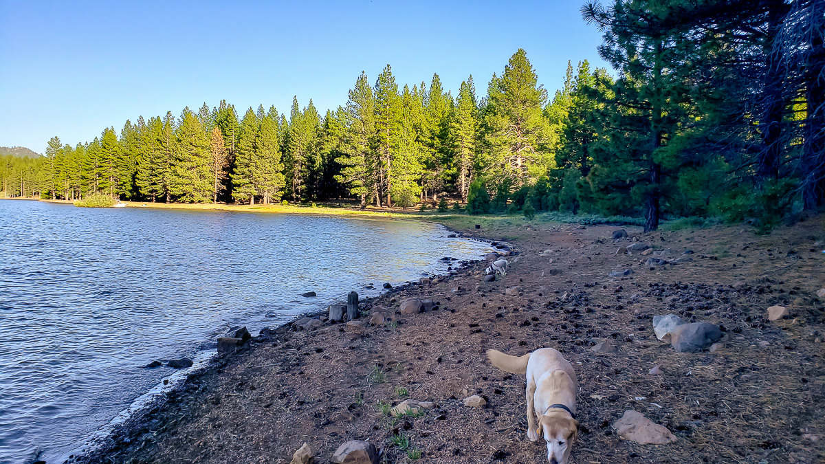 Stampede Reservoir Campout – PureSynchronicity