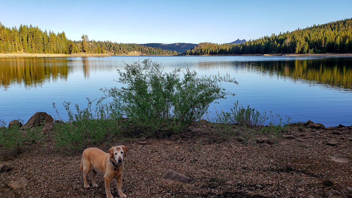 Jackson Meadows September 2019 – PureSynchronicity