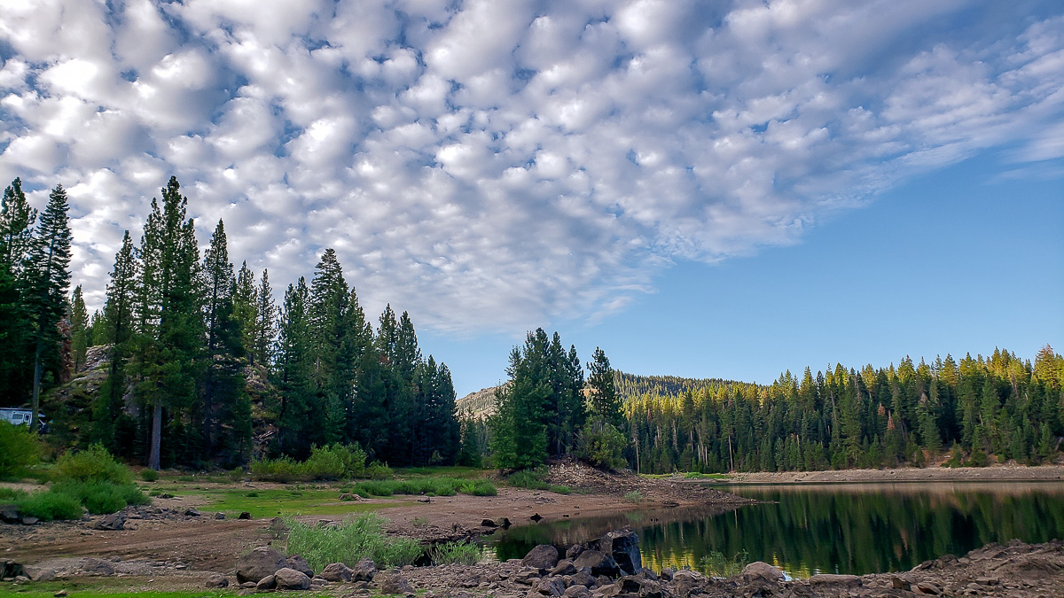 Jackson Meadows September 2019 – PureSynchronicity