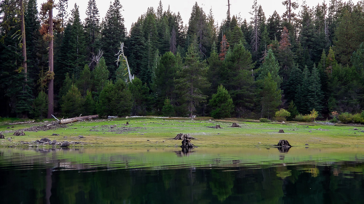 Jackson Meadows September 2019 – PureSynchronicity