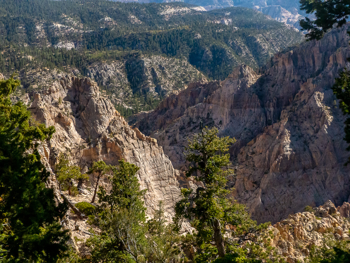 Devils Backbone – PureSynchronicity